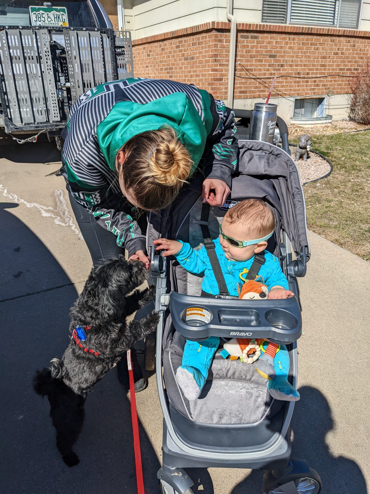 Family Dog Training | Canine Community Heroes